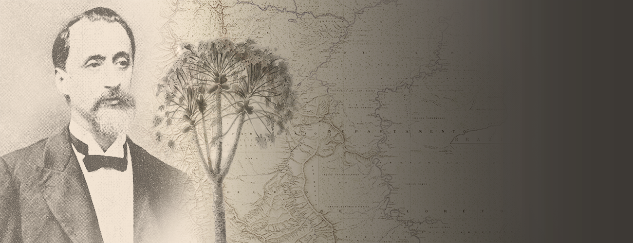 Icpna Cultural | Del 4 de marzo al 18 de mayo del 2024